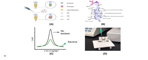 Overview Of The System A Scheme Of Developing An Electrochemical