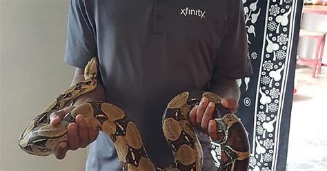 Another Side To Comcast Imgur