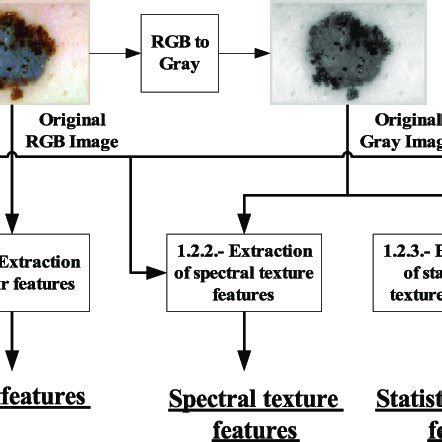 Design Of Sub Block Extraction Of Features Download Scientific Diagram