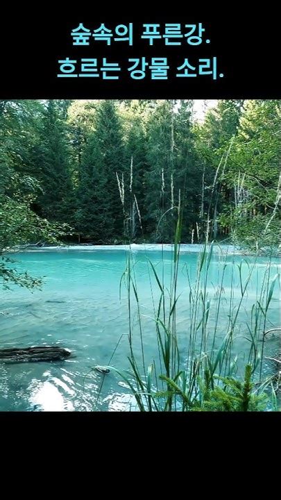 숲속의 푸른강 흐르는 강물 소리 Youtube