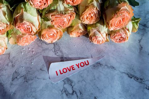 나는 당신에게 텍스트 인사말 카드 종이 노트를 사랑 해요 대리석 배경에 섬세한 오렌지 장미 최소한의 트렌디 한 구성 로맨틱 한 파스텔 장미 꽃 발렌타인 데이와 사랑 개념 2