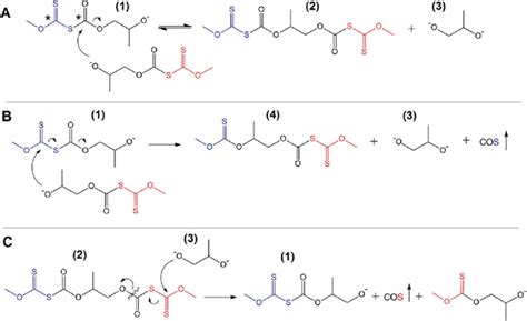 Scheme 2 A And B Interactions Of Two Thiocarbonates Growing Chains