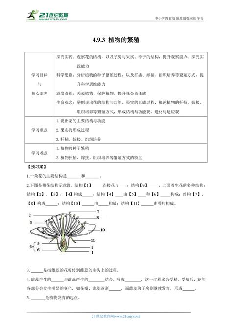 [学案]苏教版生物七下 4 9 3植物的繁殖 导学案 含答案 内容预览 二一教育课件站