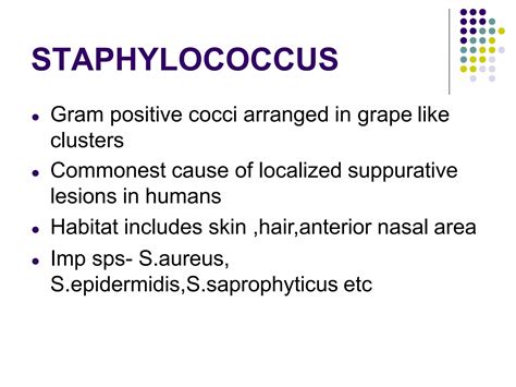Staphylococcus Spp Pptx Infectious Diseases Diseases And Conditions