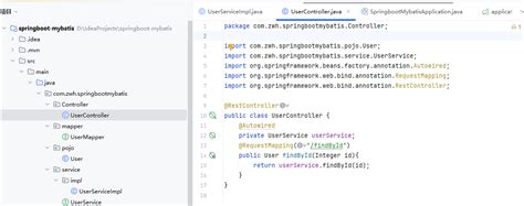 【springboot】 整合mybatispostgresqlmybatis Postgresql Csdn博客