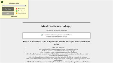 codepen a pen by musab habeeb