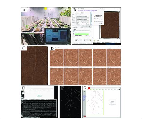 The Composition And Workflow Of The Rhizopot Platform For In Situ Root