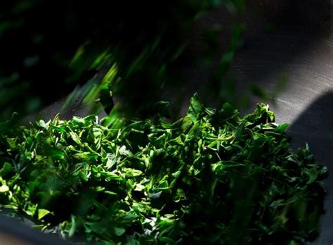茶叶怎么杀青茶叶杀青的四种方法 山里向茶