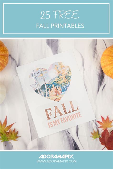 Chilling Temperatures And Falling Leaves Can Only Mean One Thing Fall