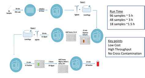From Backlog To Breakthrough How Automation Transforms Processing Of Sexual Assault Evidence Kits