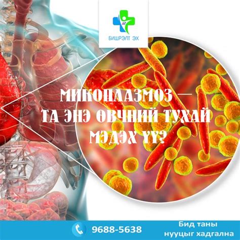 Бишрэлт МИКОПЛАЗМОЗ ТА ЭНЭ ӨВЧНИЙ ТУХАЙ МЭДЭХ ҮҮ Микоплазм нь маш жижиг бактериуд юм Хүний