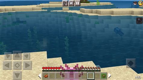 Morph Plus Addon MCPE Bedrock Mod Mc Mod Net