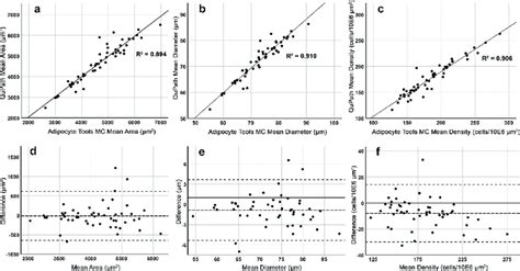 Adipocyte Tools With Manual Correction Mc And Qupath Based Methods Download Scientific