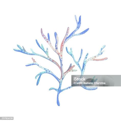 많은 가지를 가진 바다 산호의 가지 얇고 우아한 수채화 그림 손으로 그린 파스텔 색상 청록색 파란색 민트 산호 복숭아 배경에서 격리된 요소입니다 귀여운에 대한 스톡 벡터