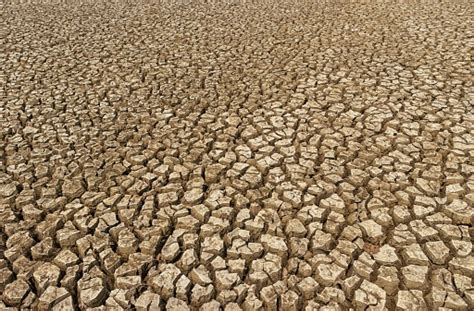 수평 방향의 인도 농촌 지역에서 여름철에 물 또는 비 위기로 인한 가뭄 토지 또는 마른 금이 간 토지 0명에 대한 스톡 사진 및 기타 이미지 Istock
