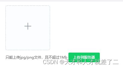 学习记录 Vue ElementUI el upload多文件上传一次请求上传多个文件 技术分享 云服务器