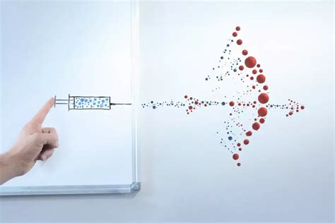 免疫细胞包括哪些细胞？ 知乎