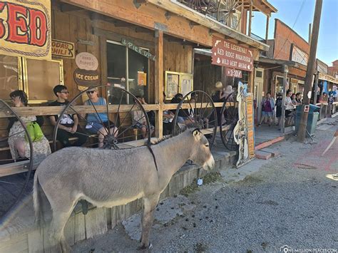 Route 66 Williams Seligman Kingman Oatman Usa