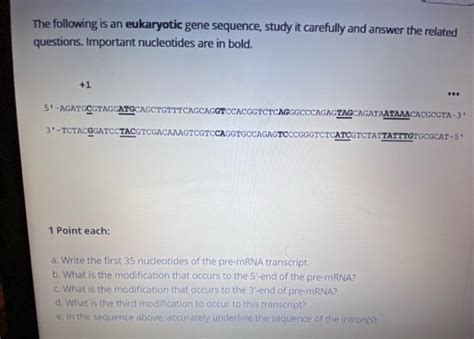 Solved The Following Is An Eukaryotic Gene Sequence Study Chegg