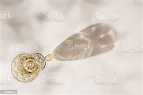 햇빛 베이지색 배경 아름다운 빛 창의적인 여름 알코올 음료 최소 개념 복사 공간 상위 뷰에 그림자가 있는 크리스탈 투명 패션