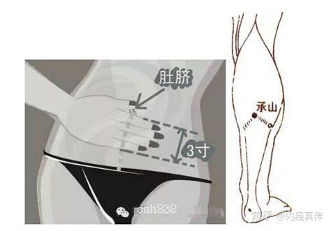 神奇为什么艾灸温灸能治疗妇科病 知乎