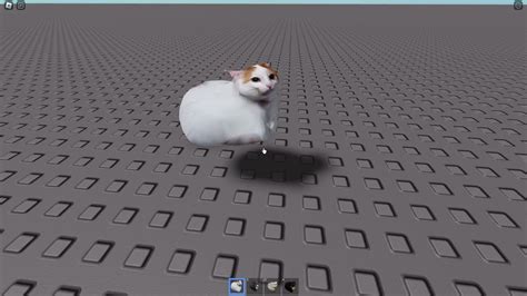 Кот Максвелл Maxwell The Cat 2 Youtube