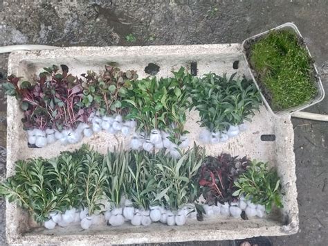 Assorted 5 Bundle Lazada Ph