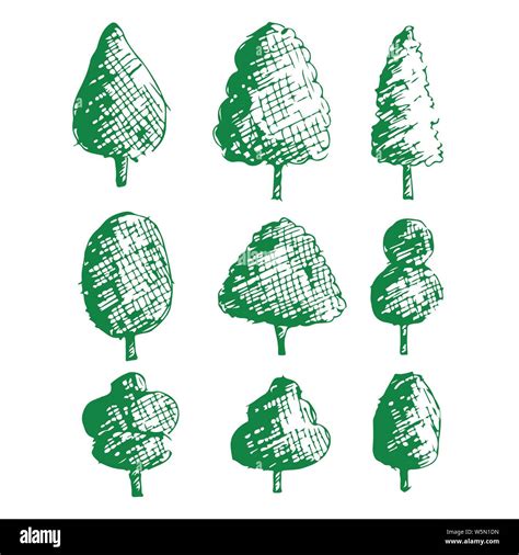 Hand Drawn Tree Icon Stock Vector Image Art Alamy