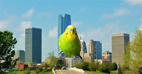 Just Started Learning About Photoshop Imgur