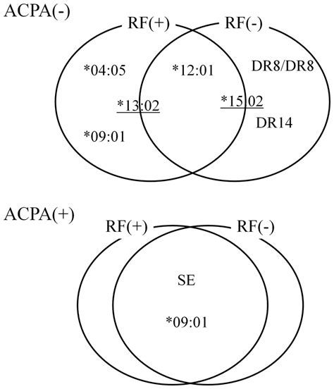 Summary Of The Hla Drb1 Alleles Associated With Acpa Negative Ra And