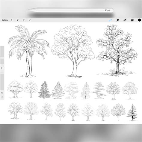 Artstation 150 Procreate Tree Stamps Realistic Tree Brushes For