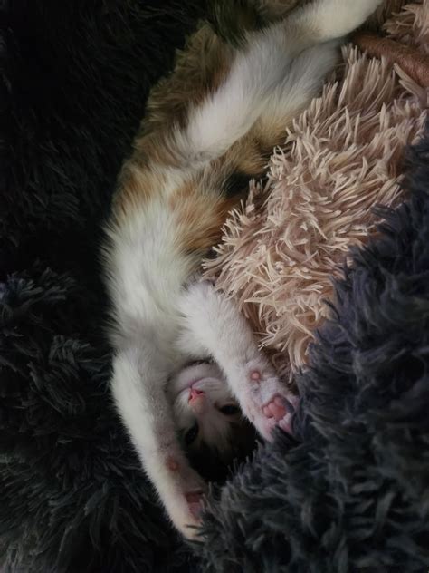 Beans And Belly R Tabico