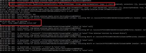 Selenium Grid Step By Step Guide To Configure With Command Line Inviul