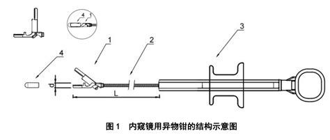 内窥镜用异物钳 北京康派特医疗器械有限公司