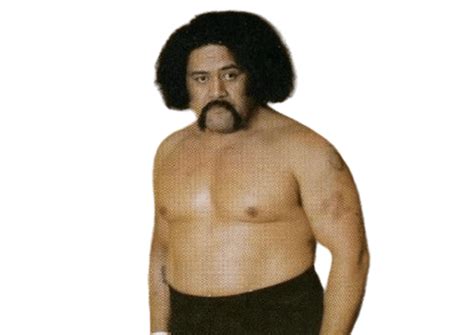 Afa Profile Career Stats Face Heel Turns Titles Won Gimmicks Pro Wrestlers Database