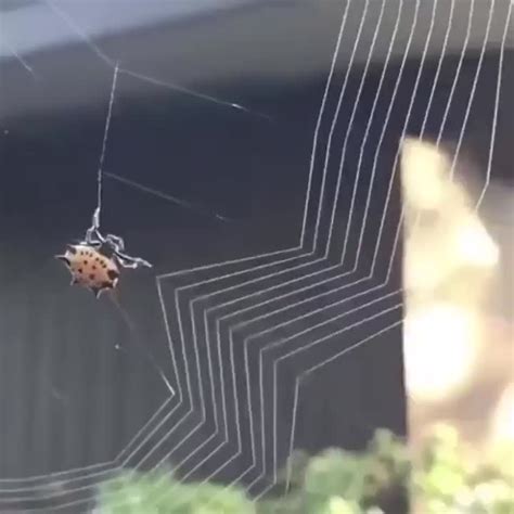 Rahul Maheshwari On Linkedin Share Engineering Datastructures Sde