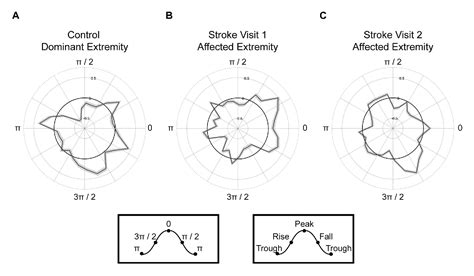 Cross Frequency Coupling As A Biomarker For Early Stroke Recovery Semantic Scholar