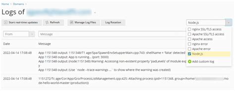 plesk node js setup