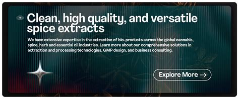 Spice Extraction Methods Advanced Techniques For Pure Extracts