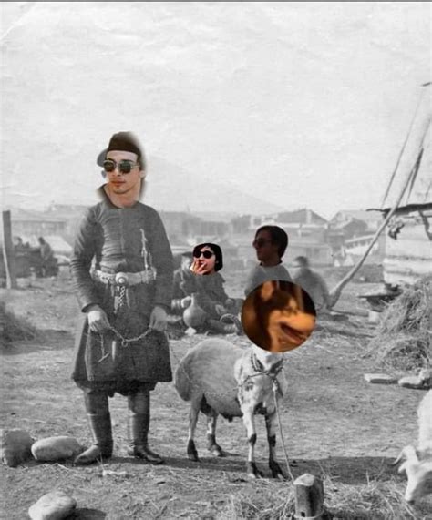 Dd😘 R Tmgsubmissions