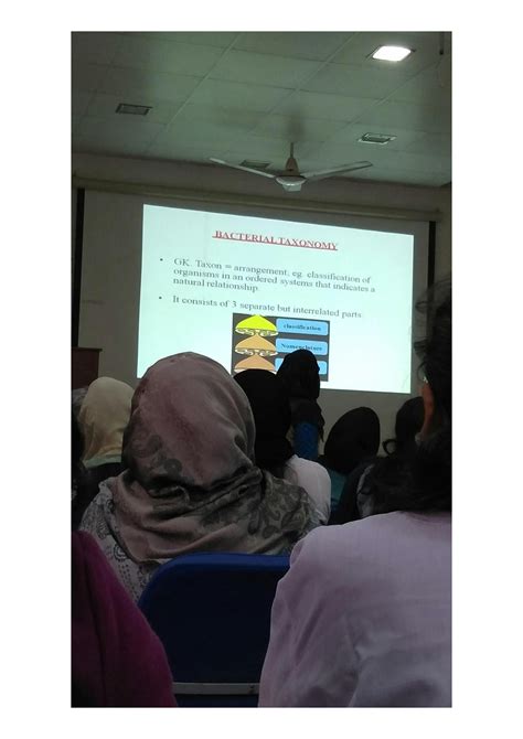 Solution Bacterial Classification Studypool