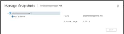 solved vmware disk need consolidated after failed to remove veeam