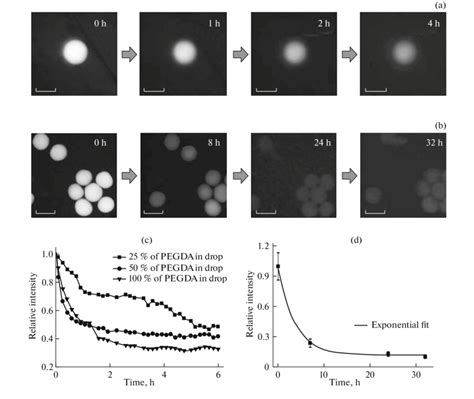 Variation Of The Rhodamine B Fluorescence Intensity In The Download Scientific Diagram