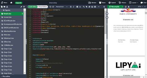 Overleaf Template For Internship Report
