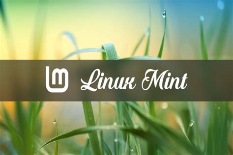 Fabios Art Linux Mint Wallpaper K Linux Mint Forums