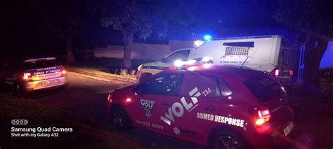 Gallery Wolf Security