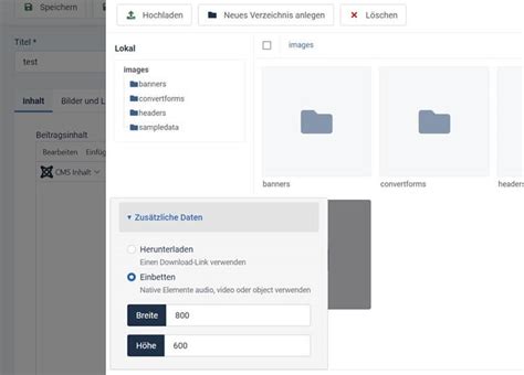 Joomla Video Einbinden M Glichkeiten Und Anleitung Ionos