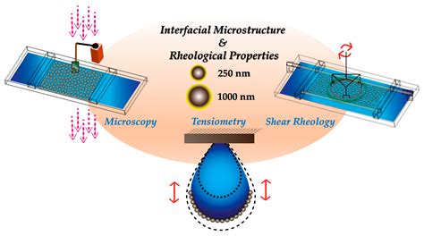 Oscillation Test Rheology At Edna Weiss Blog