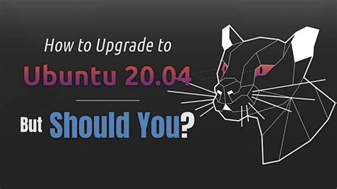 Opinion Piece By The Author