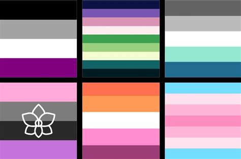 So Uh Gender Sexuality Label Update Fandom